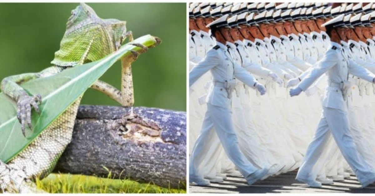 As strange as it may seem, these 30 images have not been retouched