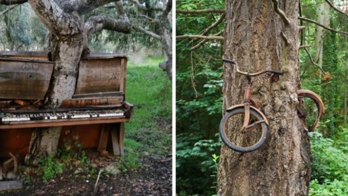 19 photos that prove that Mother Nature ALWAYS takes back what is hers...