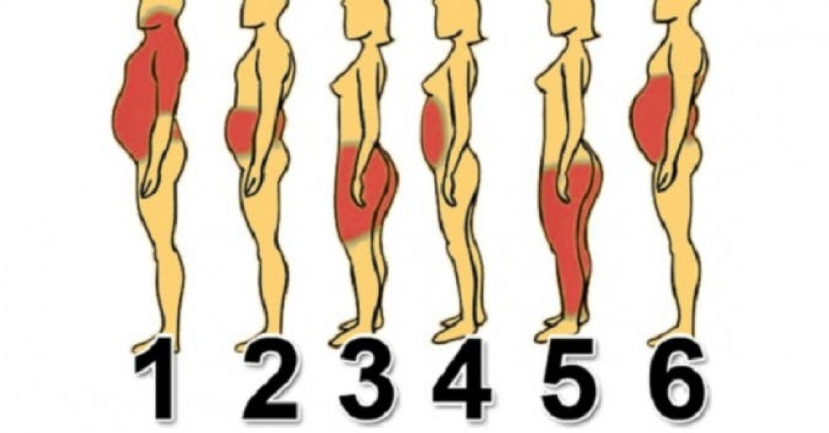 How do you lose weight based on your body type? Science explains it to you!