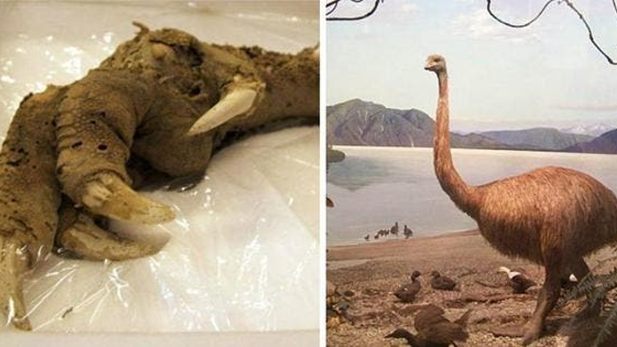 10 discoveries that can’t even be explained by science! Which ones are ...