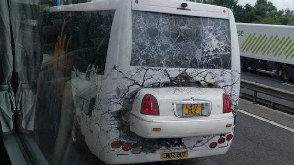 14 buses on the road with out-of-the-ordinary advertising posters ...