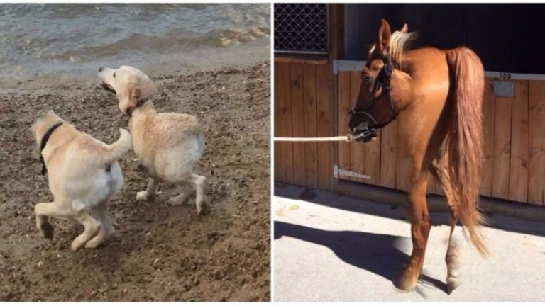 30 of the weirdest panoramic photos ever taken