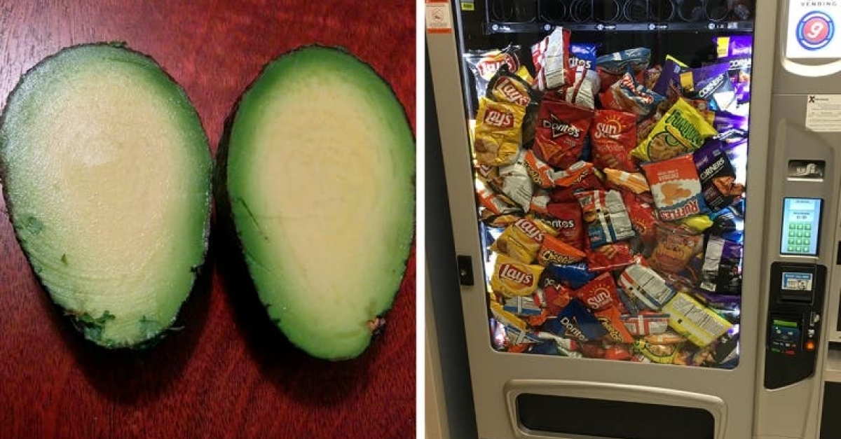 30 disturbing photos that prove how weird food can get!