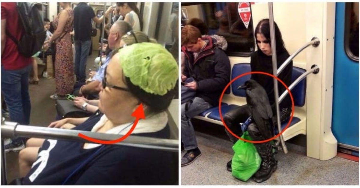 30 weird and funny sights on the subway
