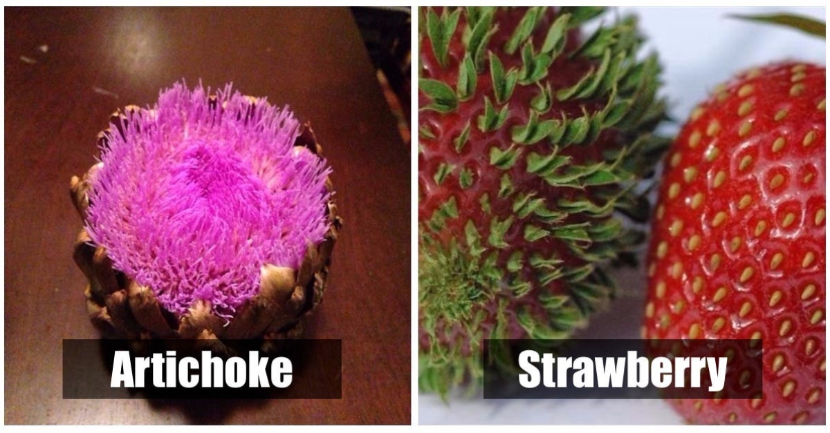 18 unsettling photos of sprouting fruits and vegetables