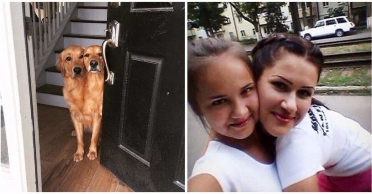 26 photos that will mess with your brain