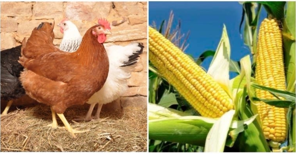 12 man-made things you always thought were completely natural