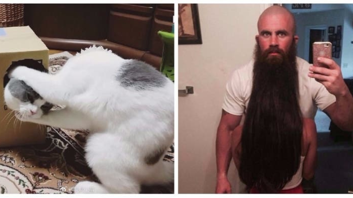 18 unintentionally funny photos that will make you do a double take!