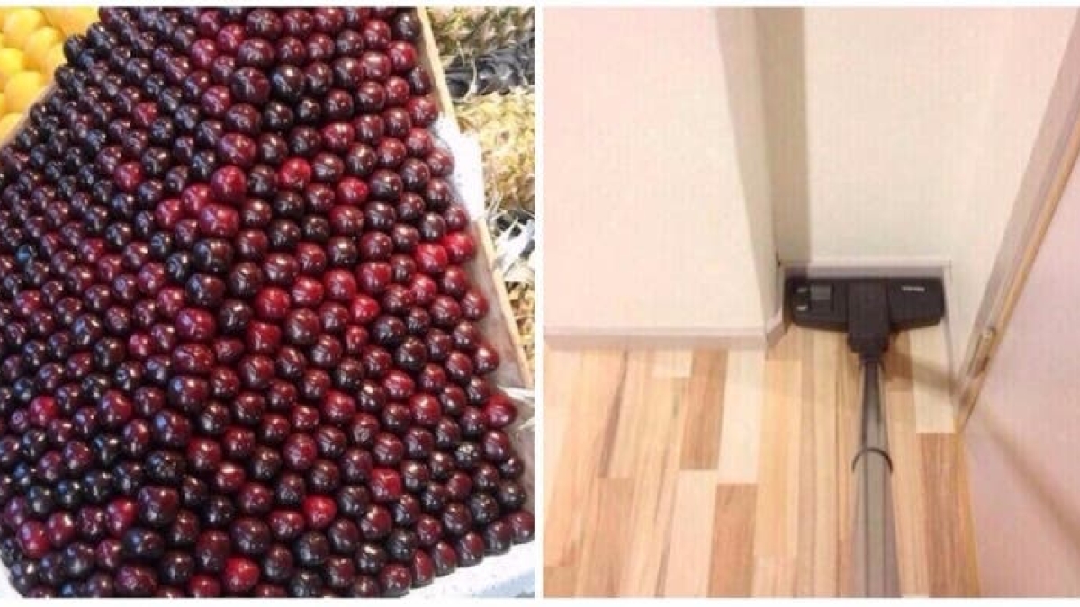 19 images that every perfectionist will love