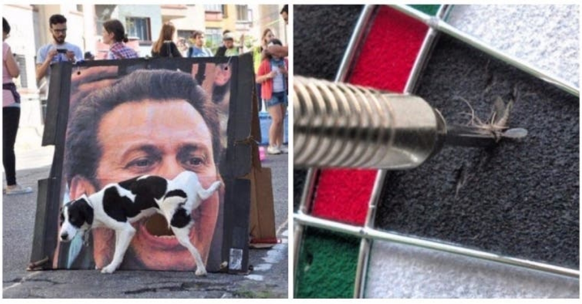 22 amazing coincidences captured in photos