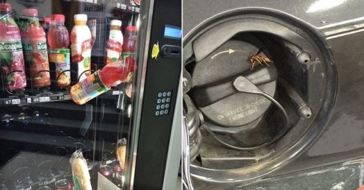 14 photos that will prove that what comes around goes around in life