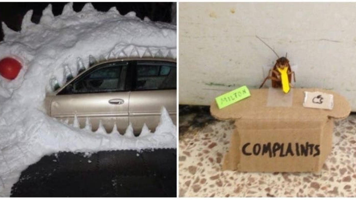 17 people whose boredom brought out their creative genius!