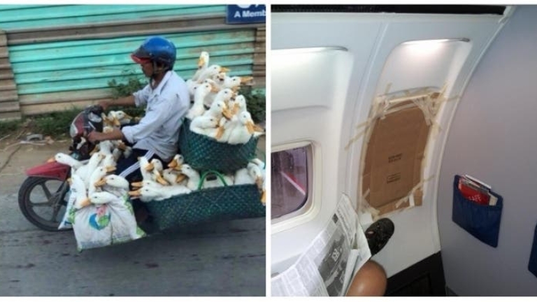 35 of the strangest sights you'll ever see!