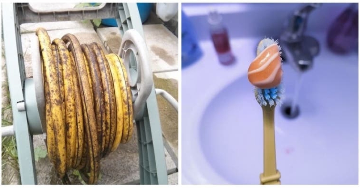 20 astonishing photos of everyday items that look like food