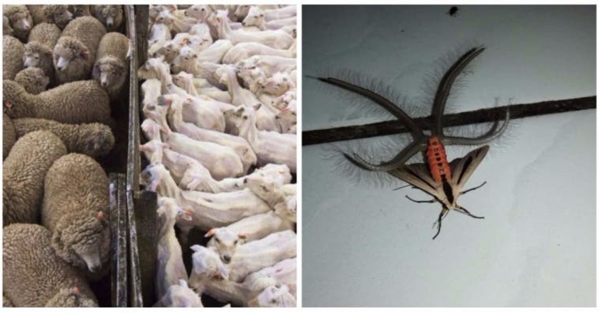 27 incredible photos that you've probably never seen before