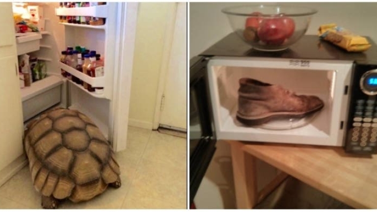 18 strange sights people woke up to in the morning