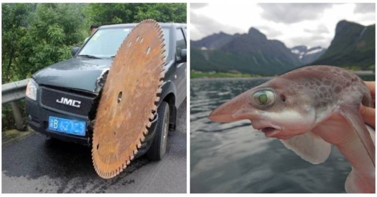 25 disturbing yet fascinating photos