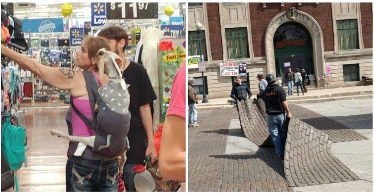 27 very surprising things that exist on our planet