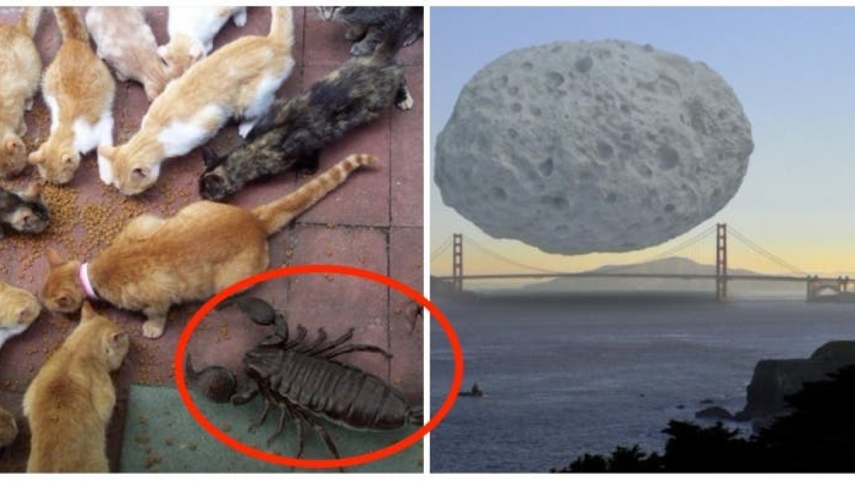 10 fascinating photos that put the size of gigantic objects into ...