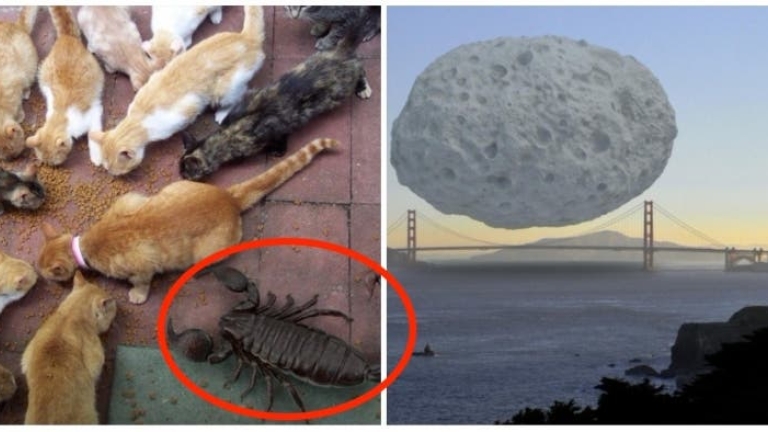 10 fascinating photos that put the size of gigantic objects into ...