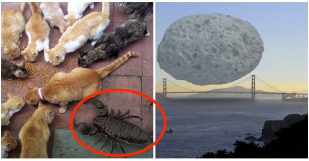 10 fascinating photos that put the size of gigantic objects into ...