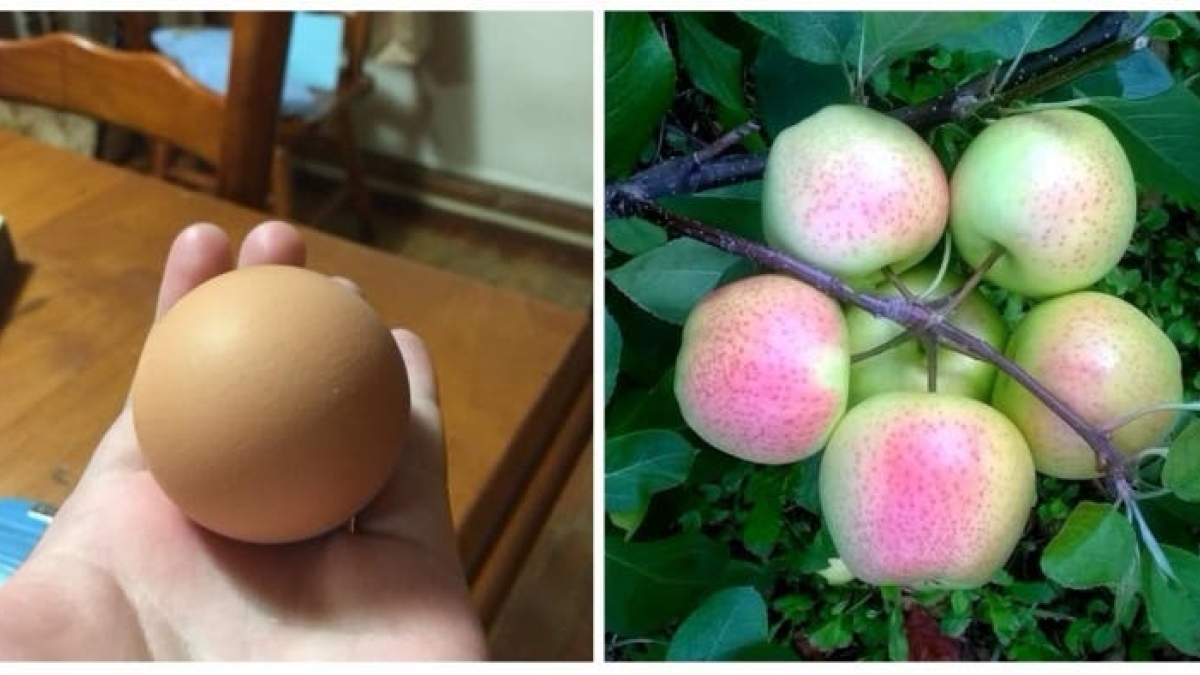 40 mouth-watering examples of food and drink perfection