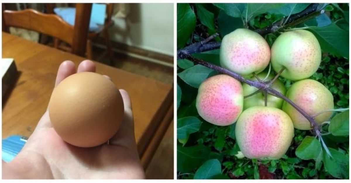 40 mouth-watering examples of food and drink perfection