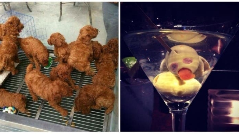 23 misleading photos created by optical illusions