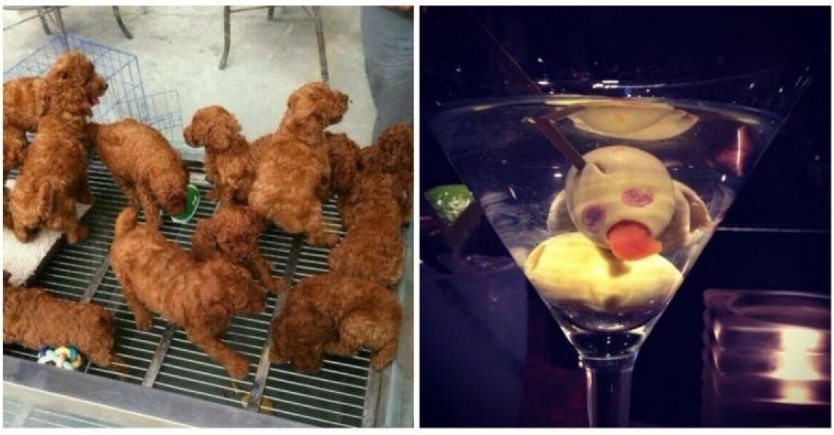 23 misleading photos created by optical illusions