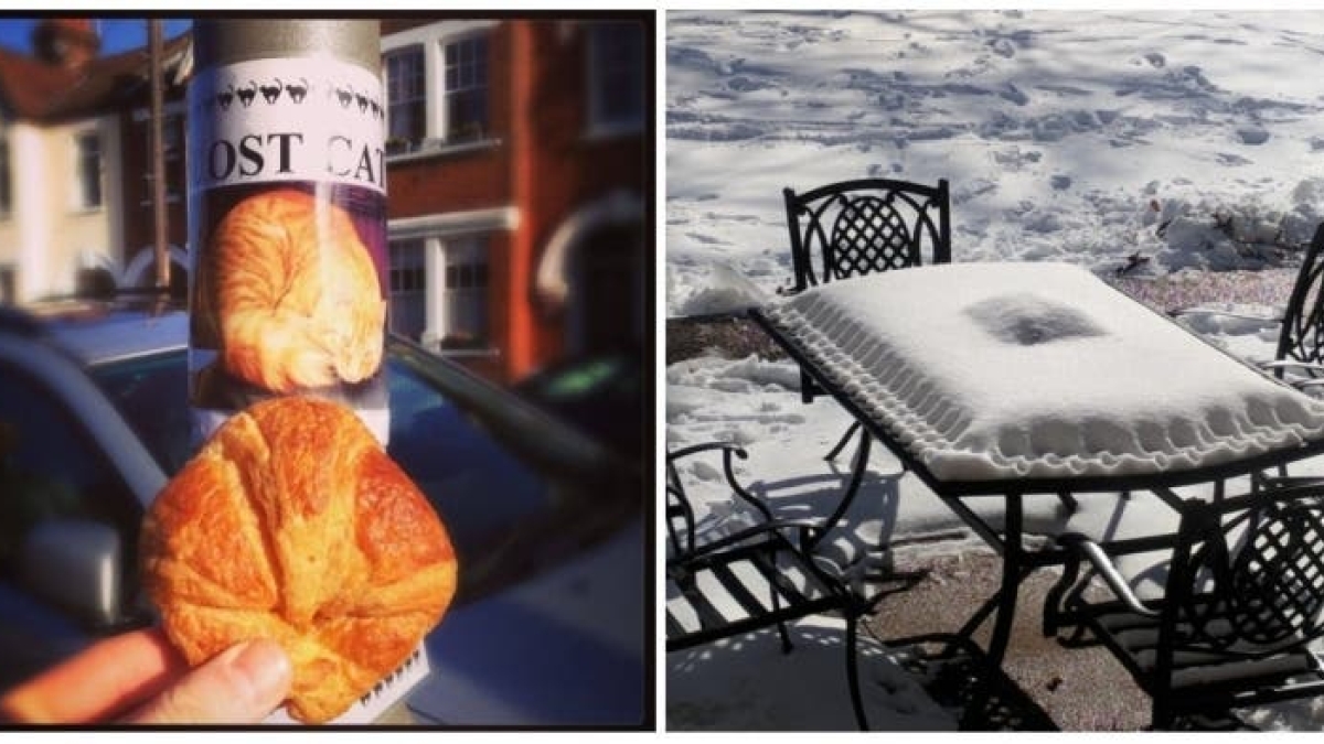 26 photos of things that aren't quite what they seem