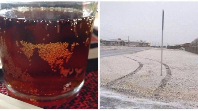 22 weird and wonderful sights caught on camera