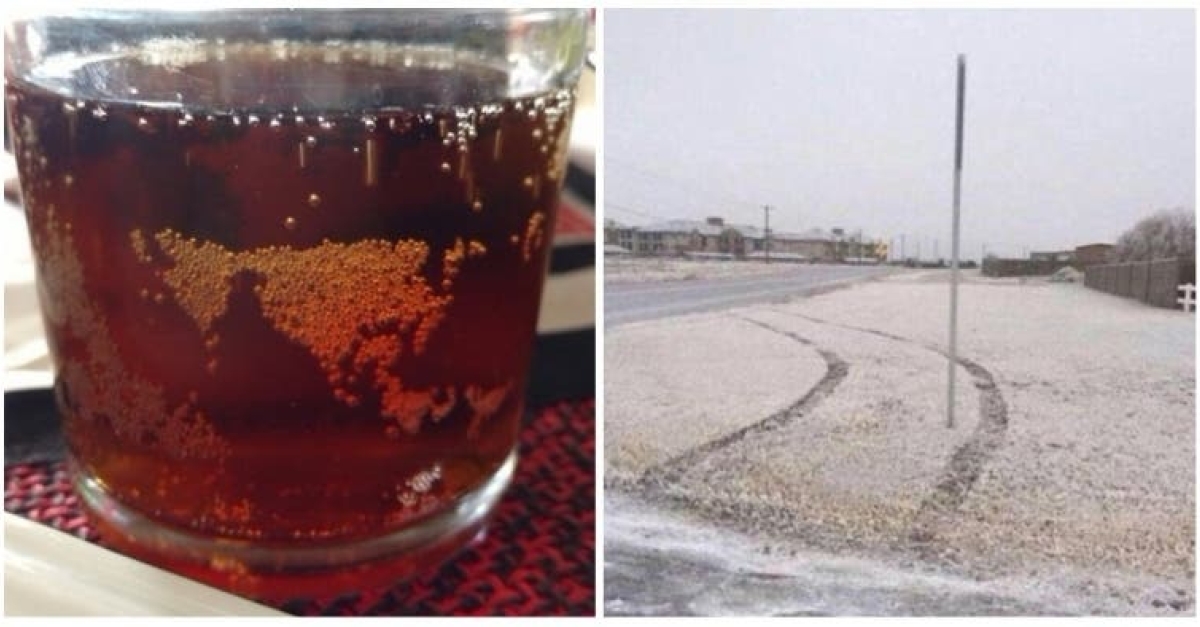 22 weird and wonderful sights caught on camera