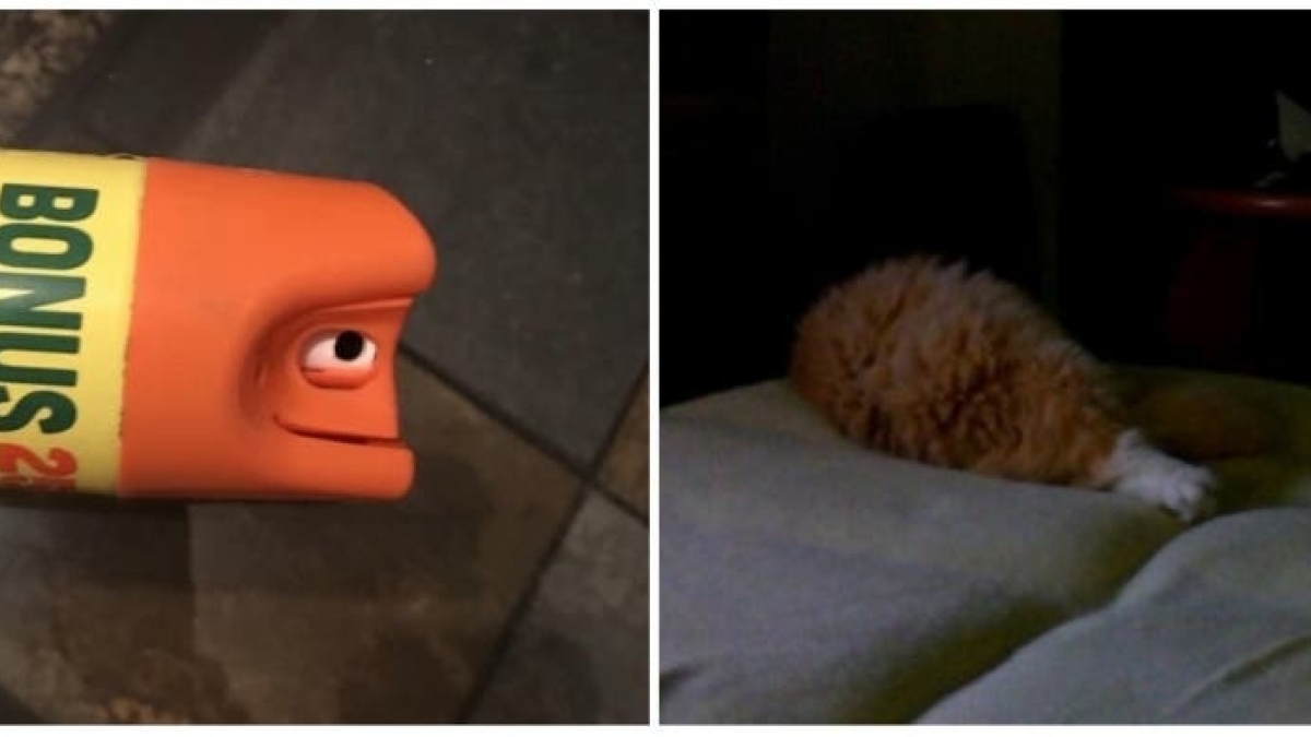 24 photos that prove it's all in the angle