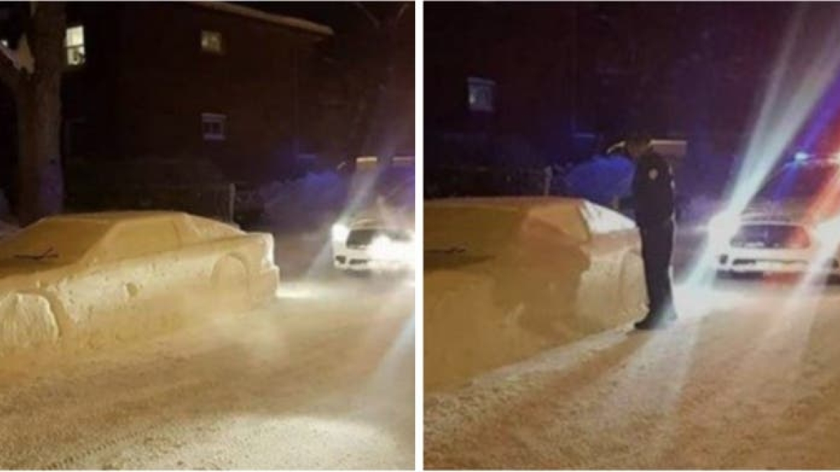 18 photos of hilariously absurd everyday situations