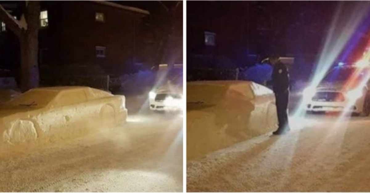 18 photos of hilariously absurd everyday situations