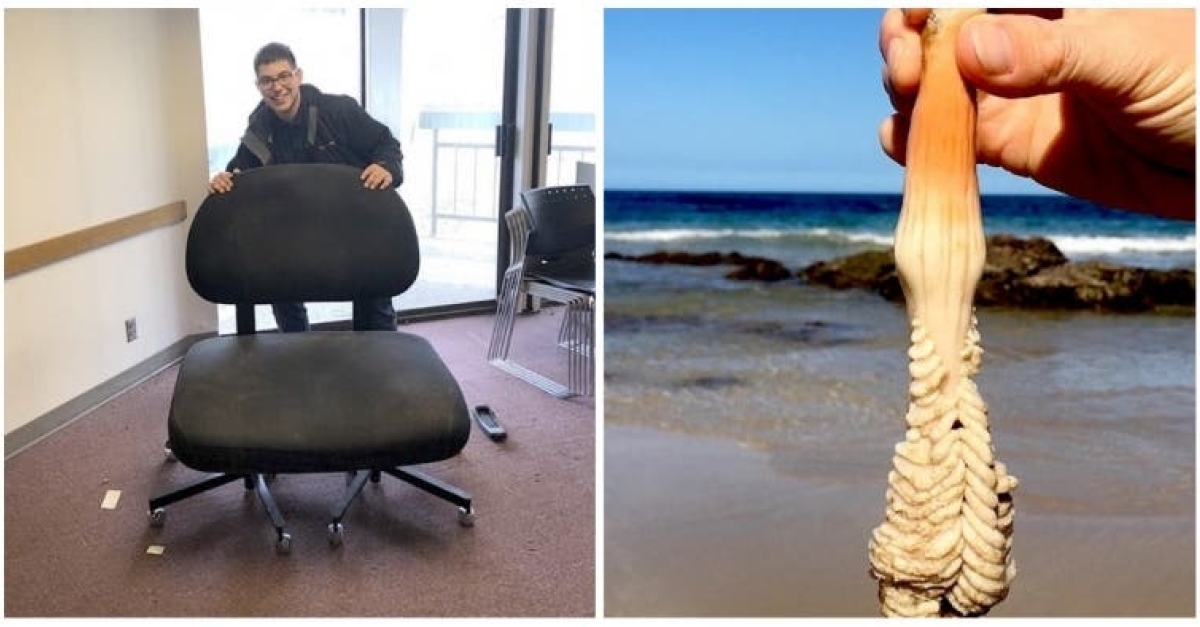 Check out these 21 strange discoveries that deserve a closer look