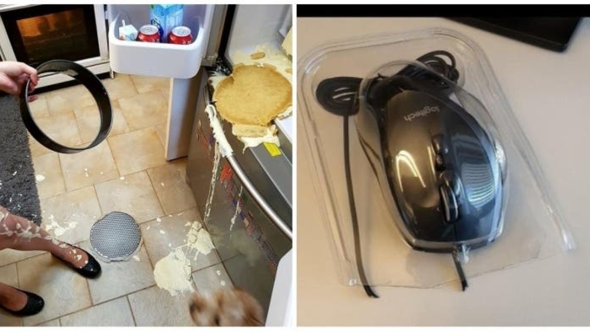 10 people whose day got off to a really bad start