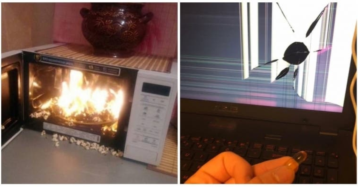 20 photos taken by people who had a nasty surprise