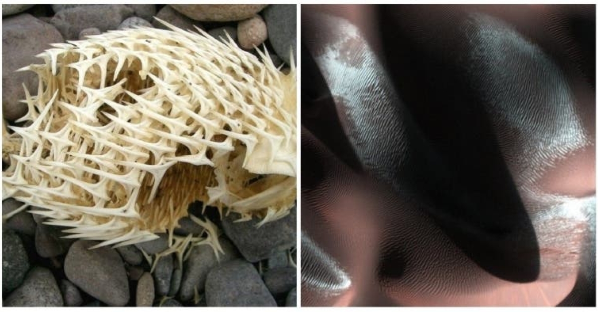 18 seemingly banal things that aren't as ordinary as you think