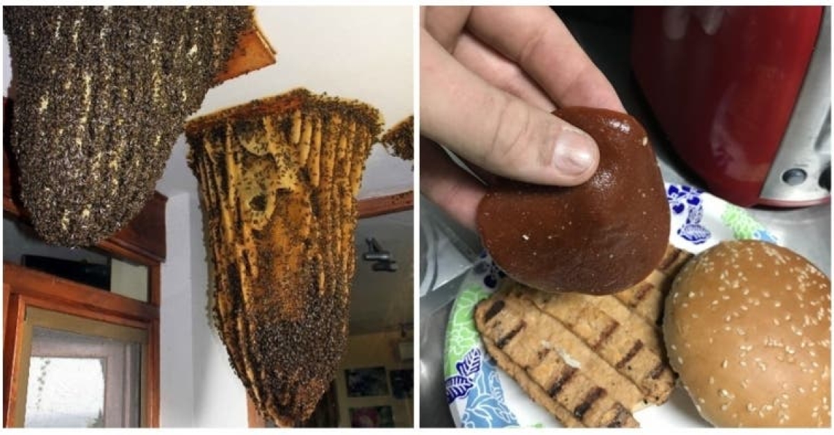 18 people who immortalized and shared their stomach-churning experience