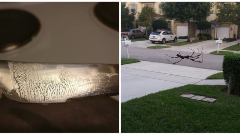 23 unsettling photos that require a closer look!