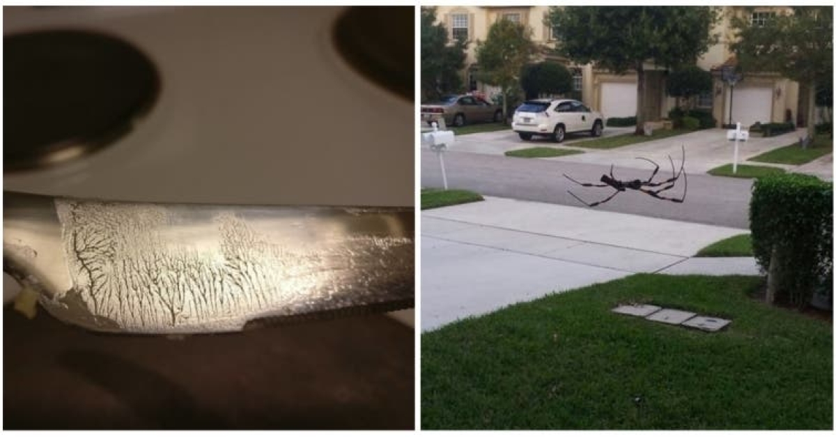 23 unsettling photos that require a closer look!