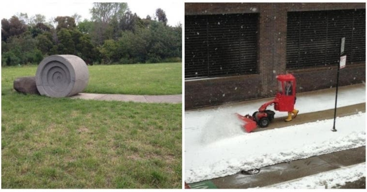 21 stupefying photos that show how crazy life can be!