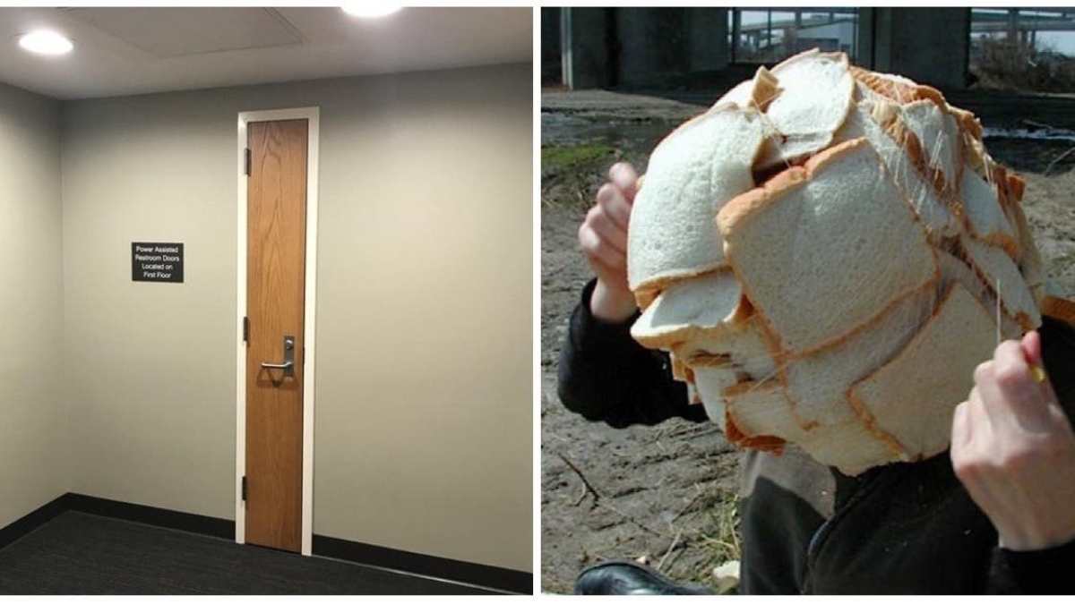 16 photos that define the word 'absurdity'