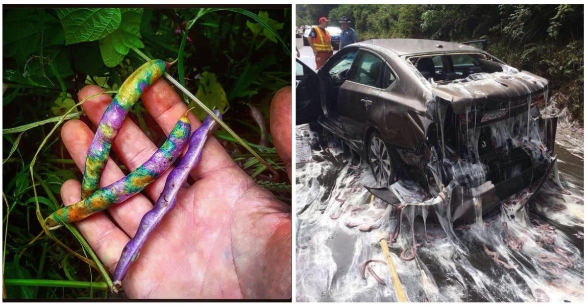 21 disturbing and disconcerting photos