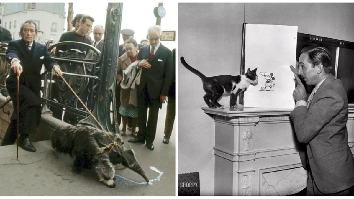 24 rare historical photos