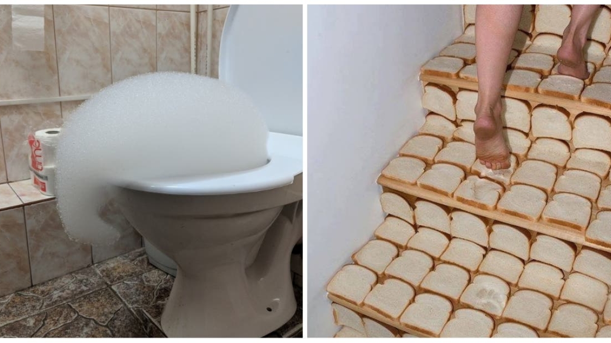 17 photos that define the word 'unexpected'