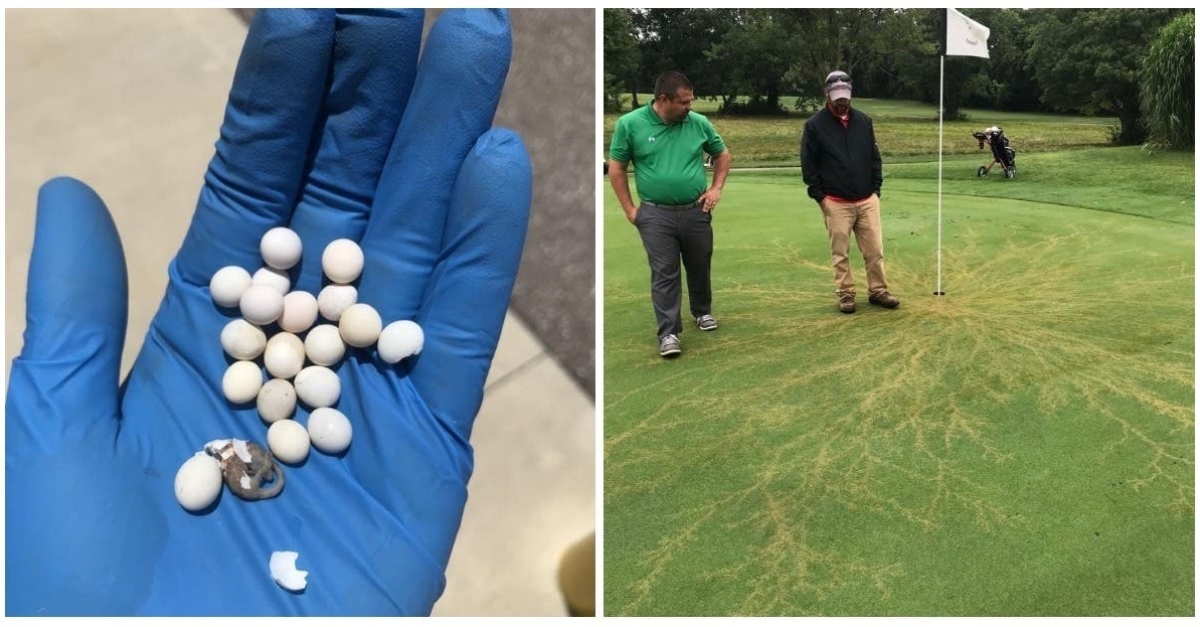 17 pictures of unusual things on earth