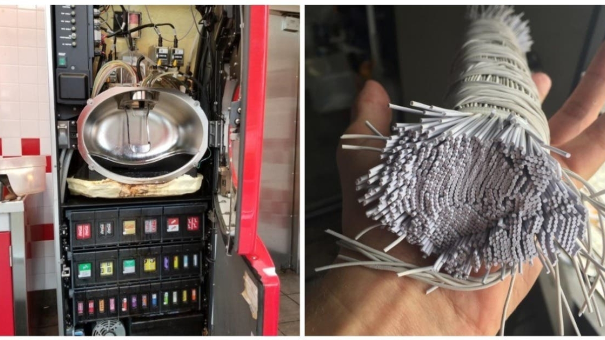 31 photos of everyday objects seen from a different angle