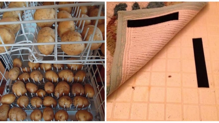 19 simple tips to make everyday life easier